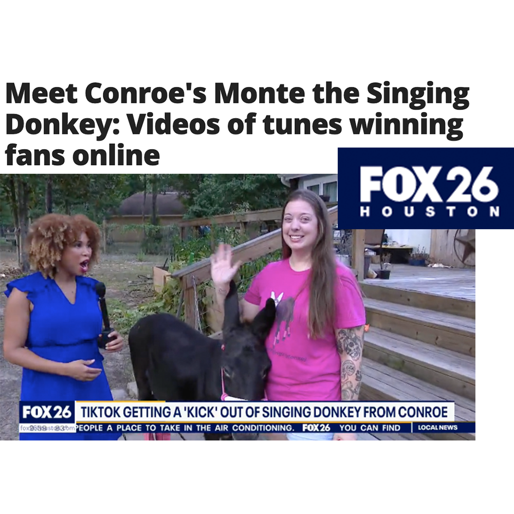 Monte The Singing Donkey - Media – montethesingingdonkey